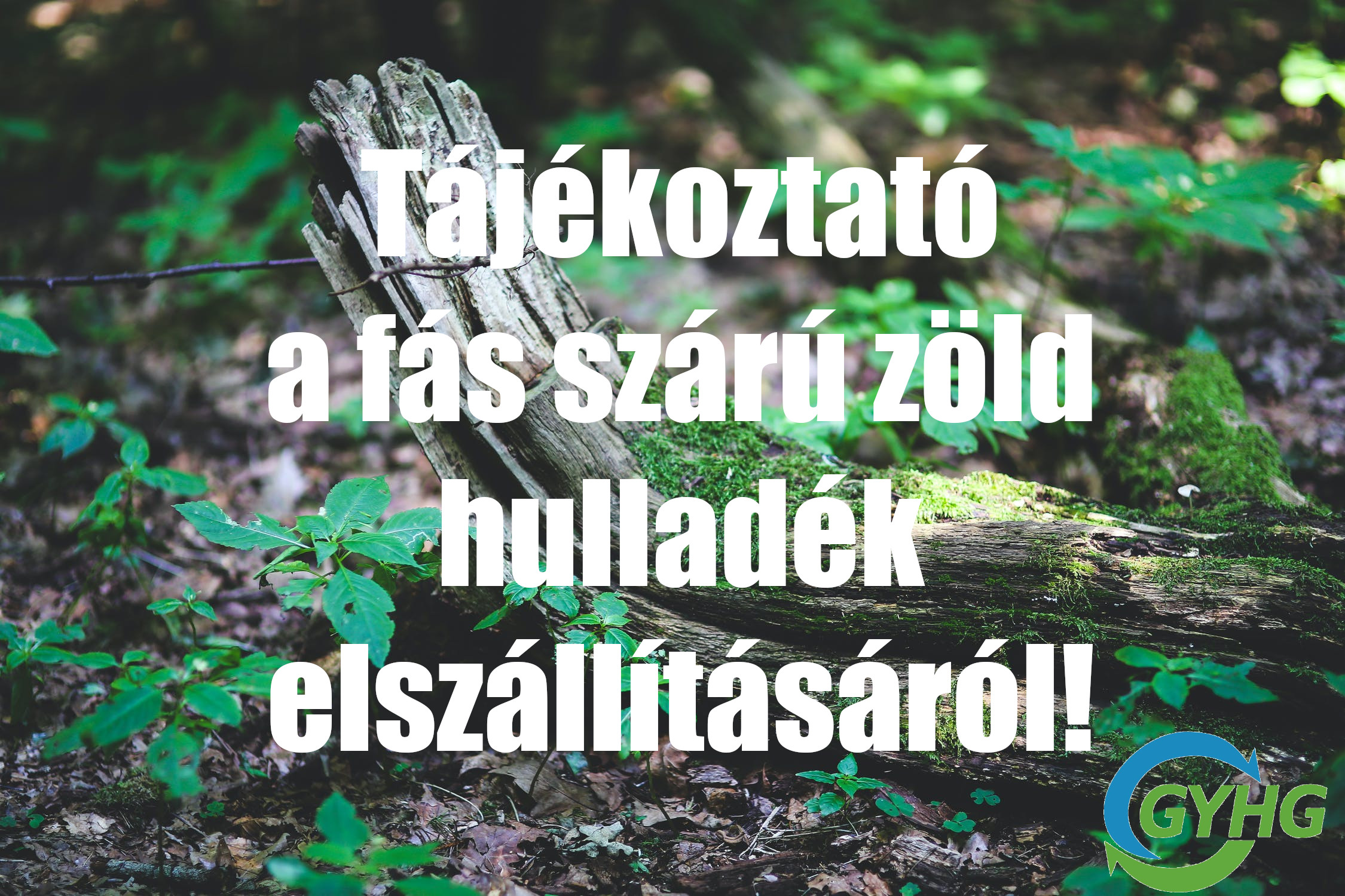 Tájékoztató a fás szárú zöld hulladék elszállításáról! - GYHG Győri ...